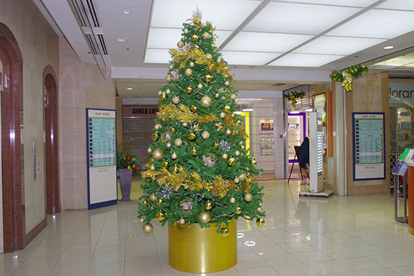 XMAS DISPLAY GALLERY